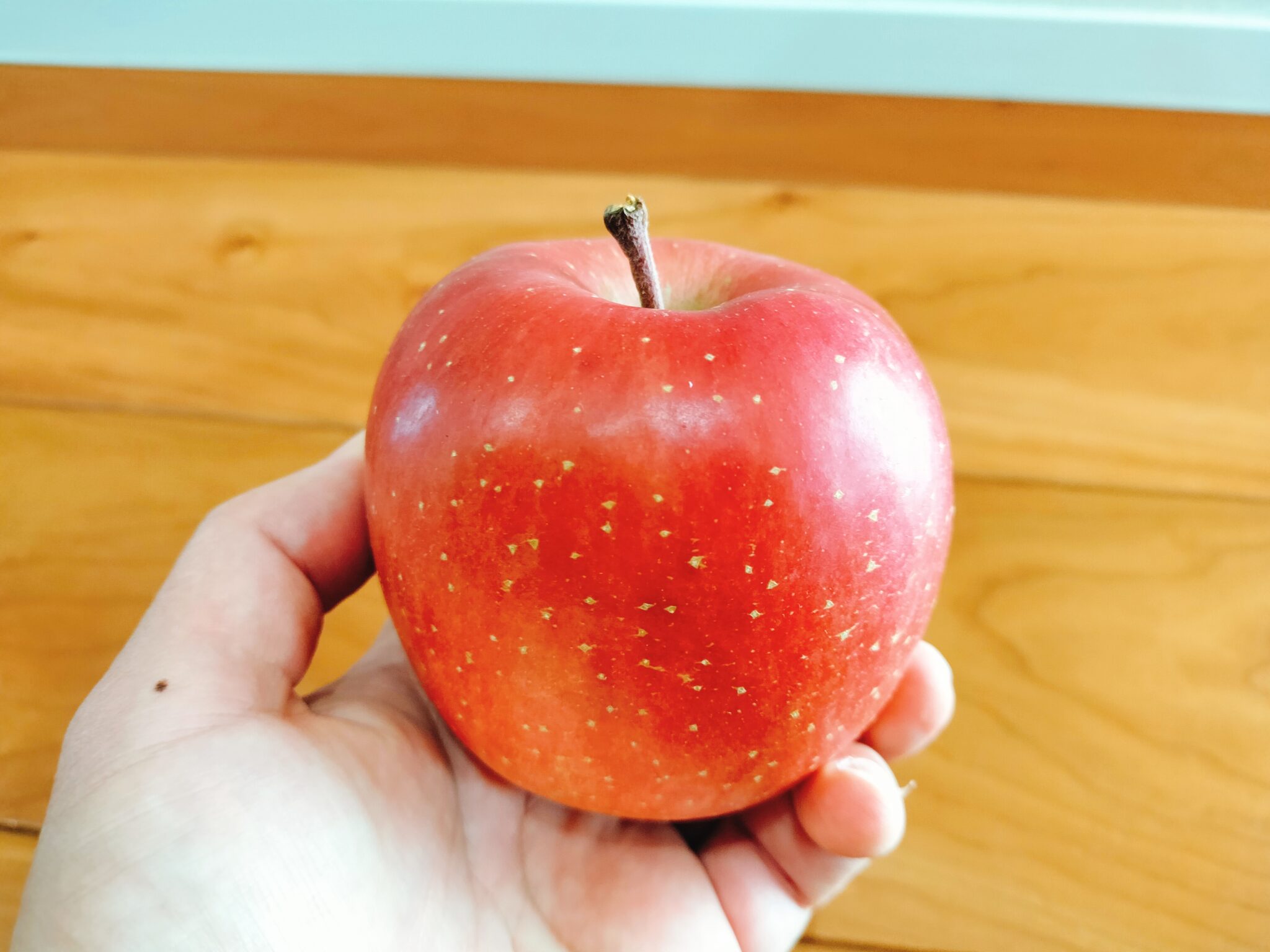 デリカフーズHD（3392）の株主優待が到着 | ブルブルの株主優待ブログ