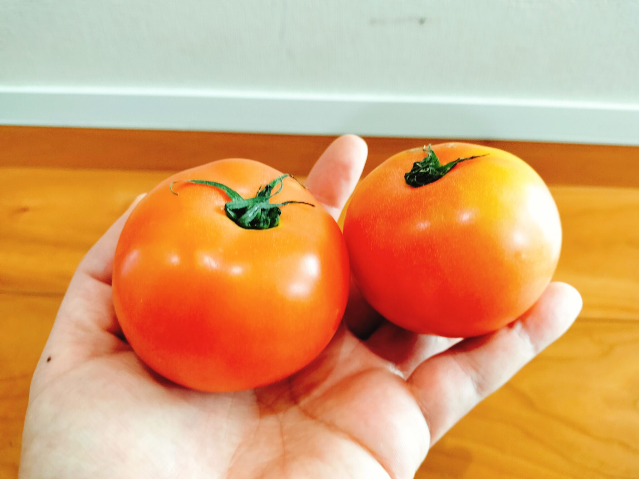 デリカフーズHD（3392）の株主優待が到着 | ブルブルの株主優待ブログ