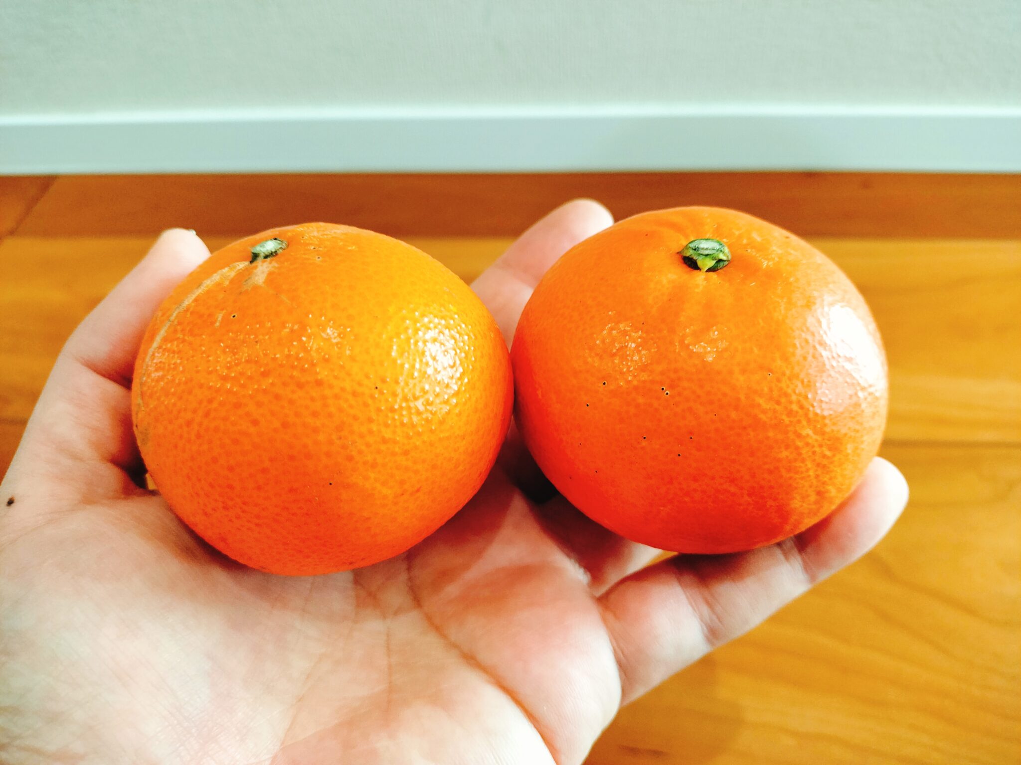 デリカフーズHD（3392）の株主優待が到着 | ブルブルの株主優待ブログ