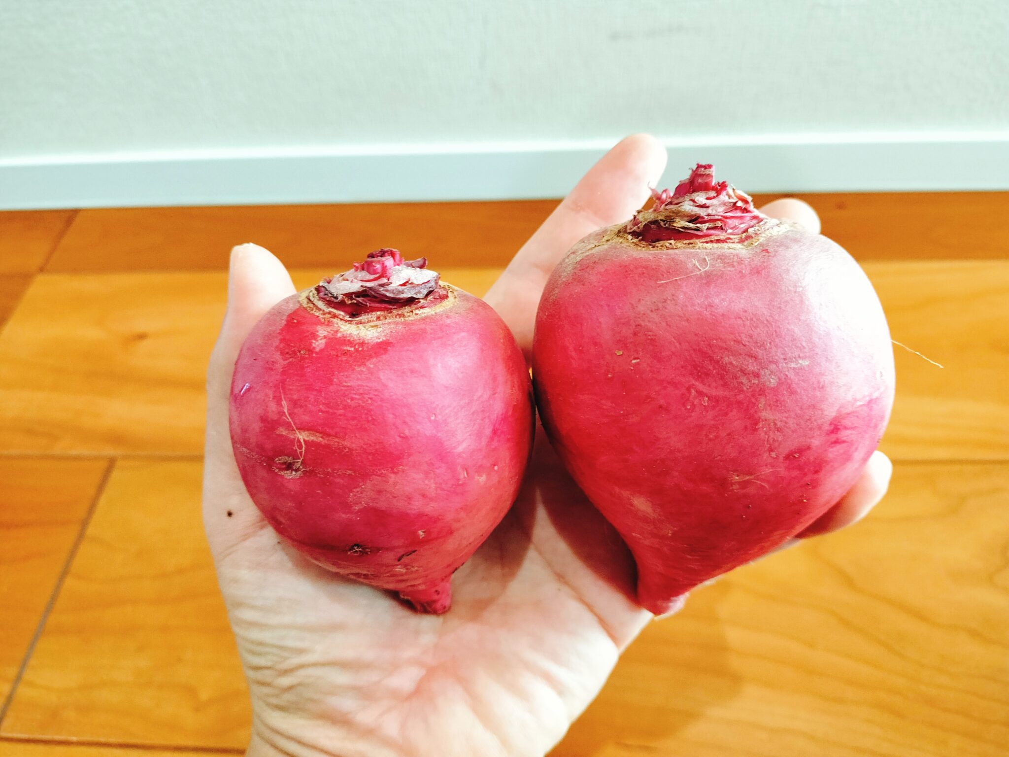 デリカフーズHD（3392）の株主優待が到着 | ブルブルの株主優待ブログ